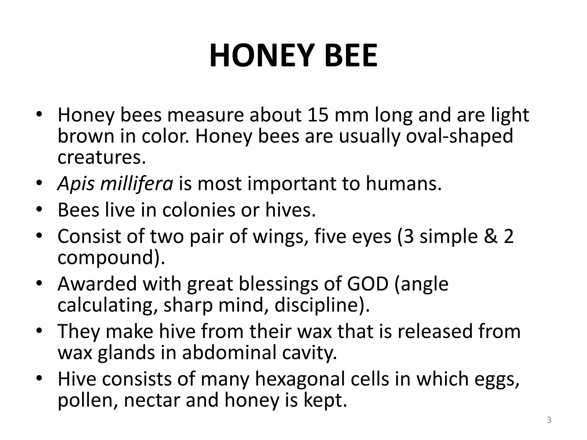 Introduction to Honey bees and their Classification | PPTX