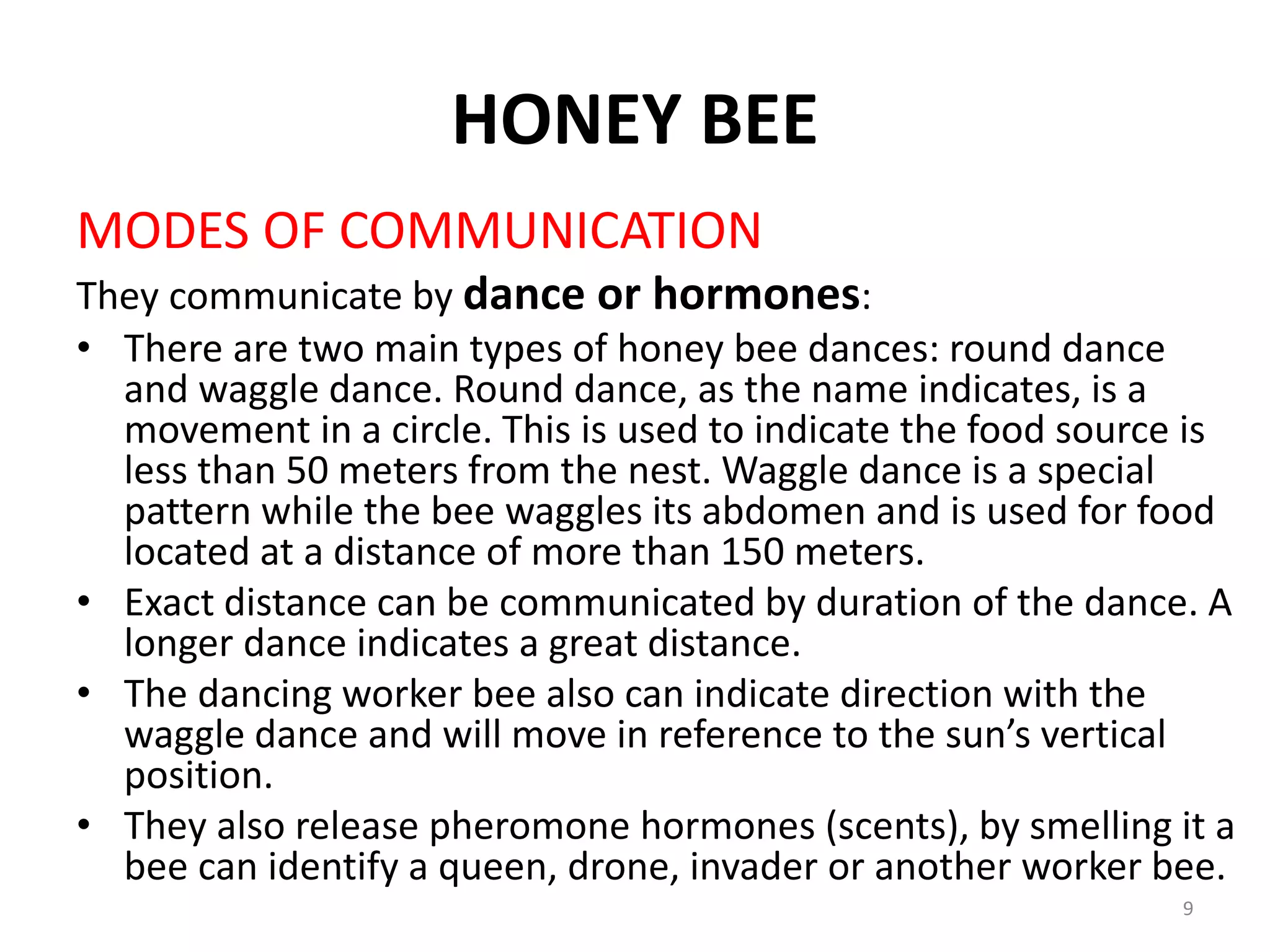 Introduction to Honey bees and their Classification | PPTX