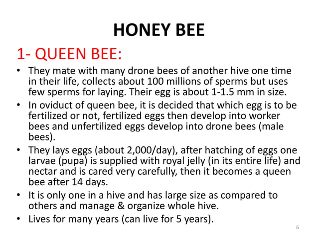 Introduction to Honey bees and their Classification | PPTX