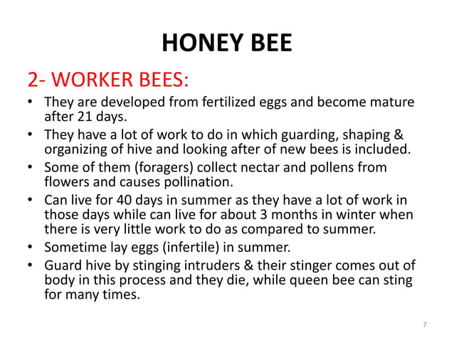 Introduction to Honey bees and their Classification | PPTX