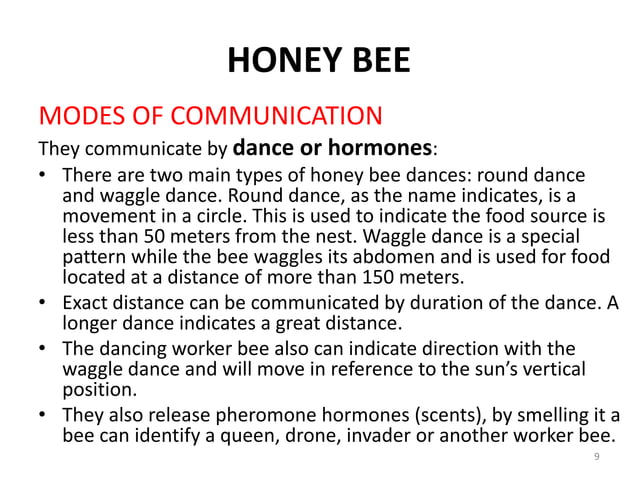 Introduction to Honey bees and their Classification | PPTX