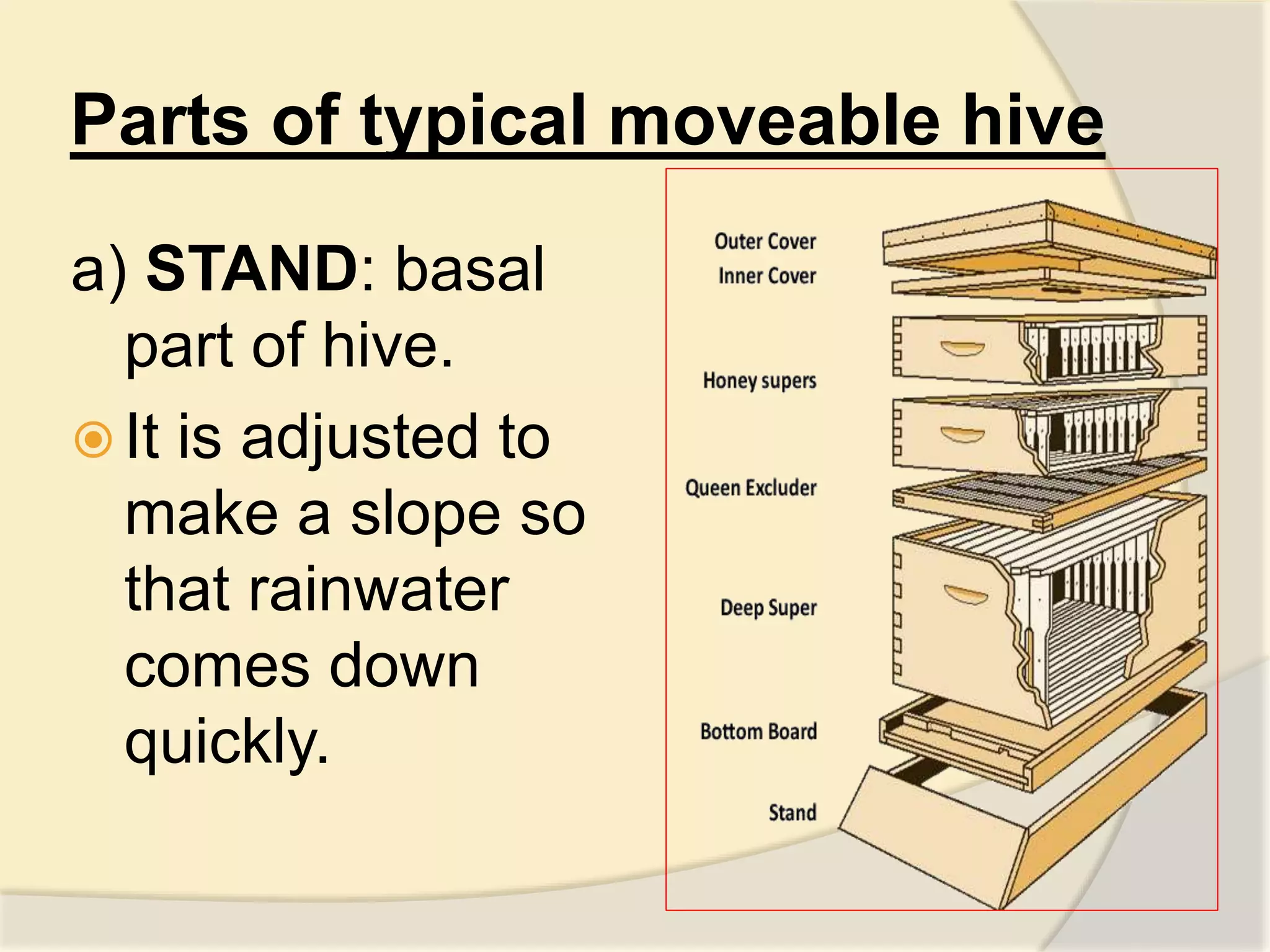 Honey bee.pptx rj | PDF