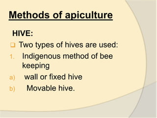 Honey bee.pptx rj | PPT