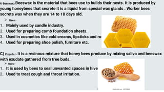 Honeybee - (apiculture ) introduction | PPTX