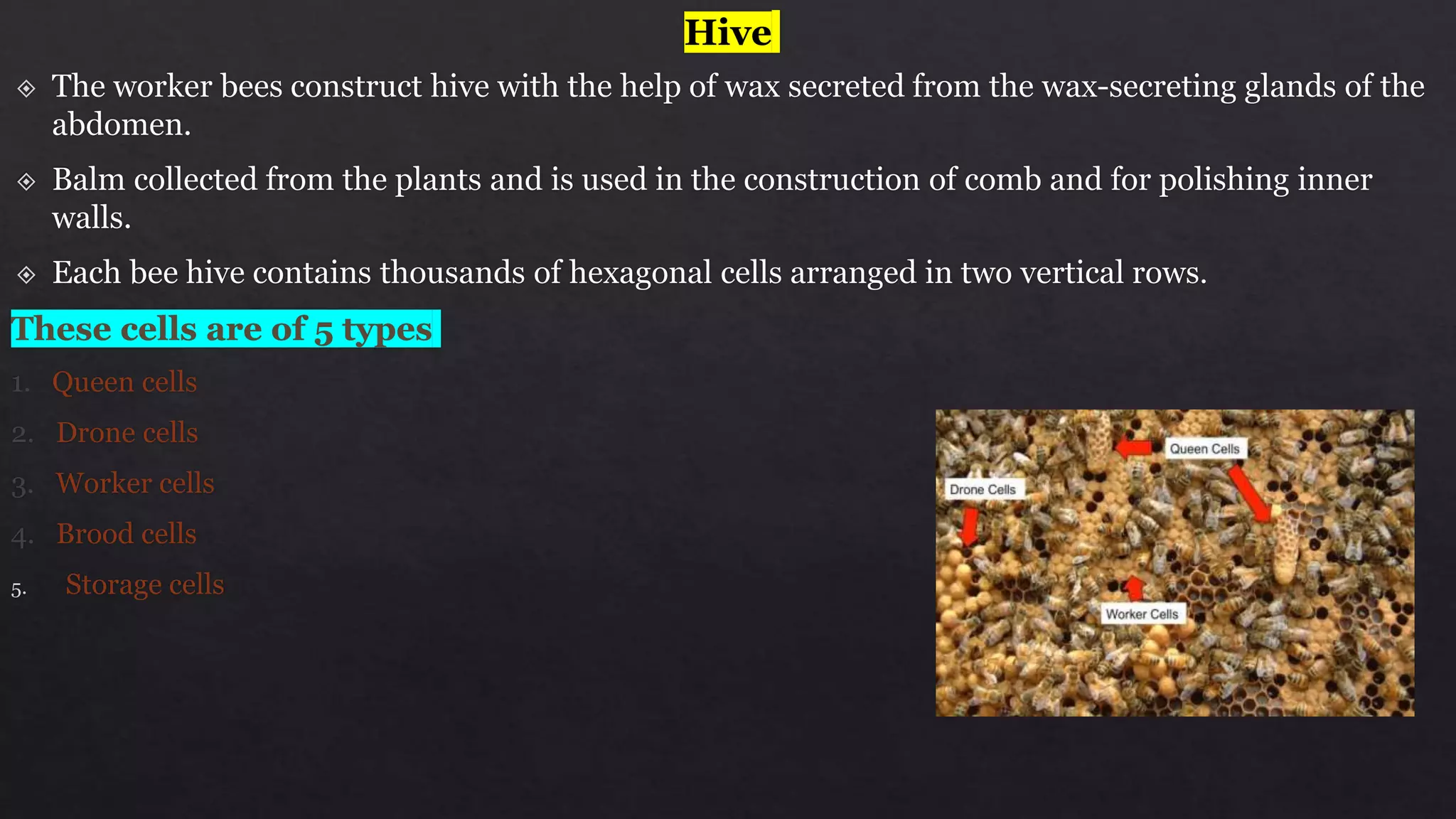 Ecological behaviour and importance of Honey Bee.pptx | Beekeeping ...