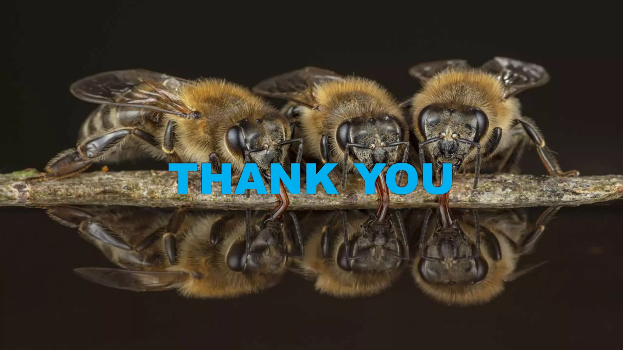 Ecological behaviour and importance of Honey Bee.pptx