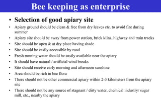 honey bee.ppt