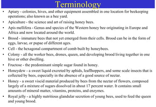honey bee.ppt