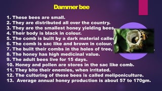 HONEY BEE – Types of Honey bee, Castes of bee | PPTX
