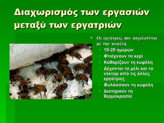 Honey Bee Biology | PPT