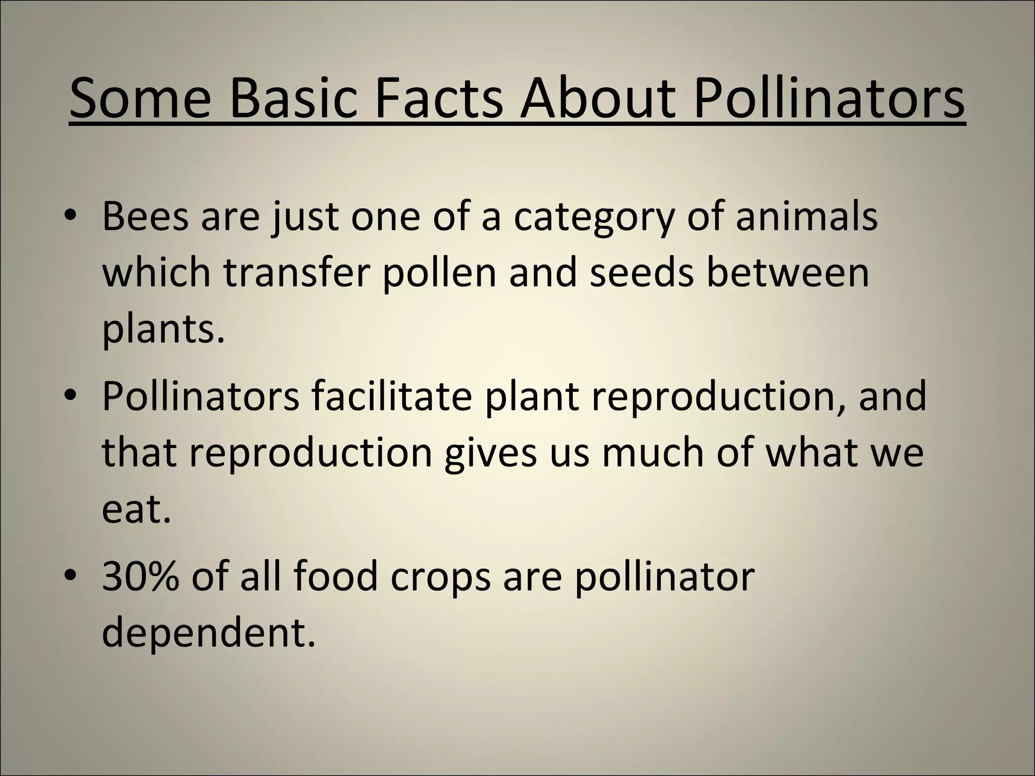 Honey Bee Colony Collapse Disorder (Ccd) | PPT