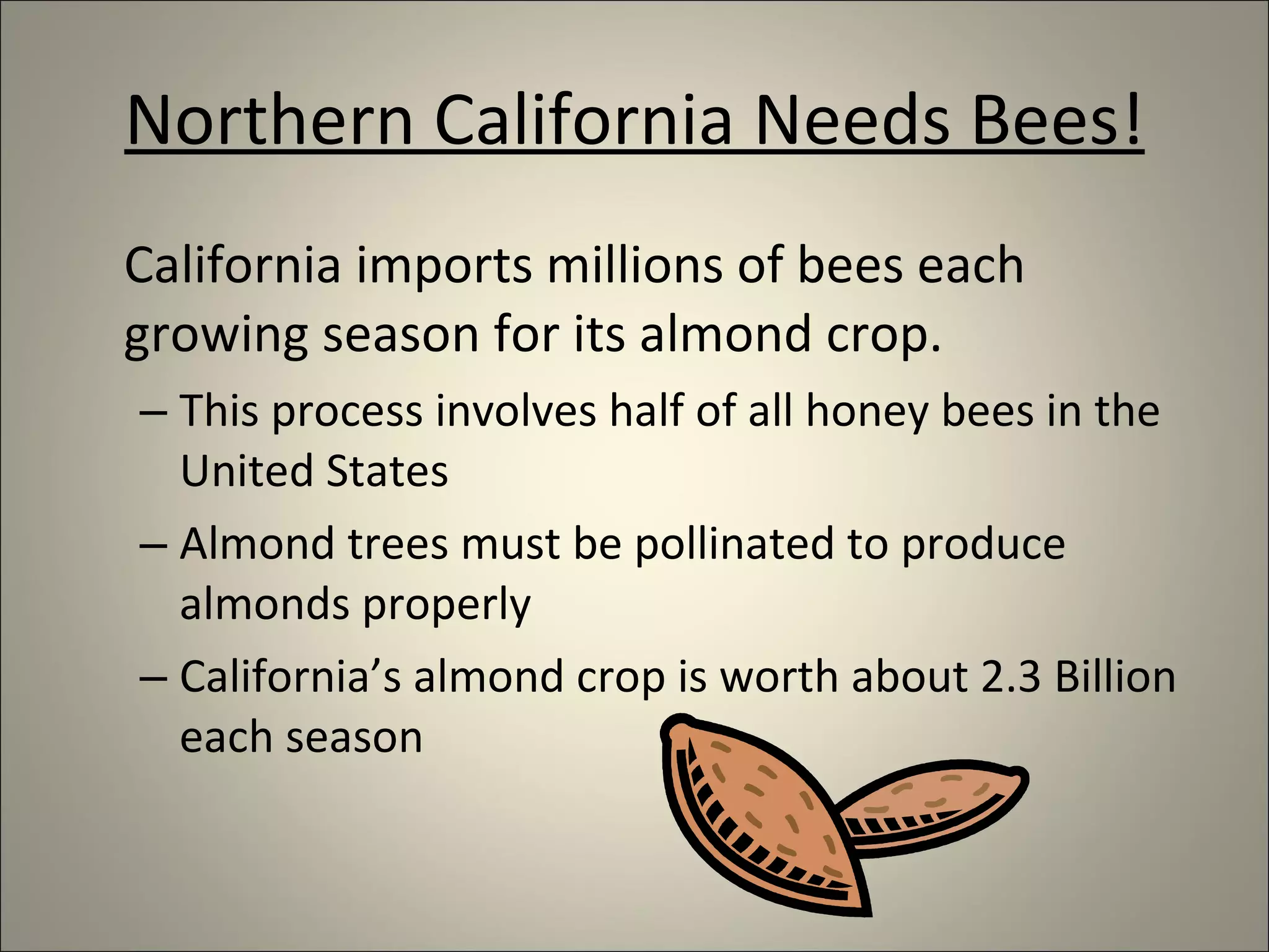 Honey Bee Colony Collapse Disorder (Ccd) | PPT