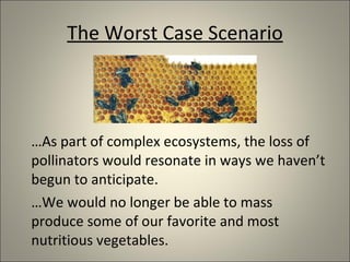 Honey Bee Colony Collapse Disorder (Ccd) | PPT