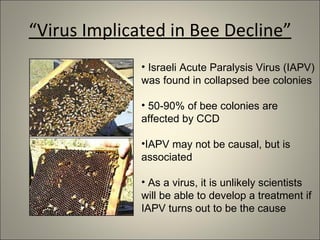 Honey Bee Colony Collapse Disorder (Ccd) | PPT