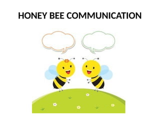 Honey Bee Communication PRESENTATION.pptx