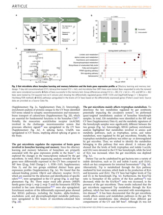 Honeybee_gut_Lactobacillus_modulates_host_learning.pdf
