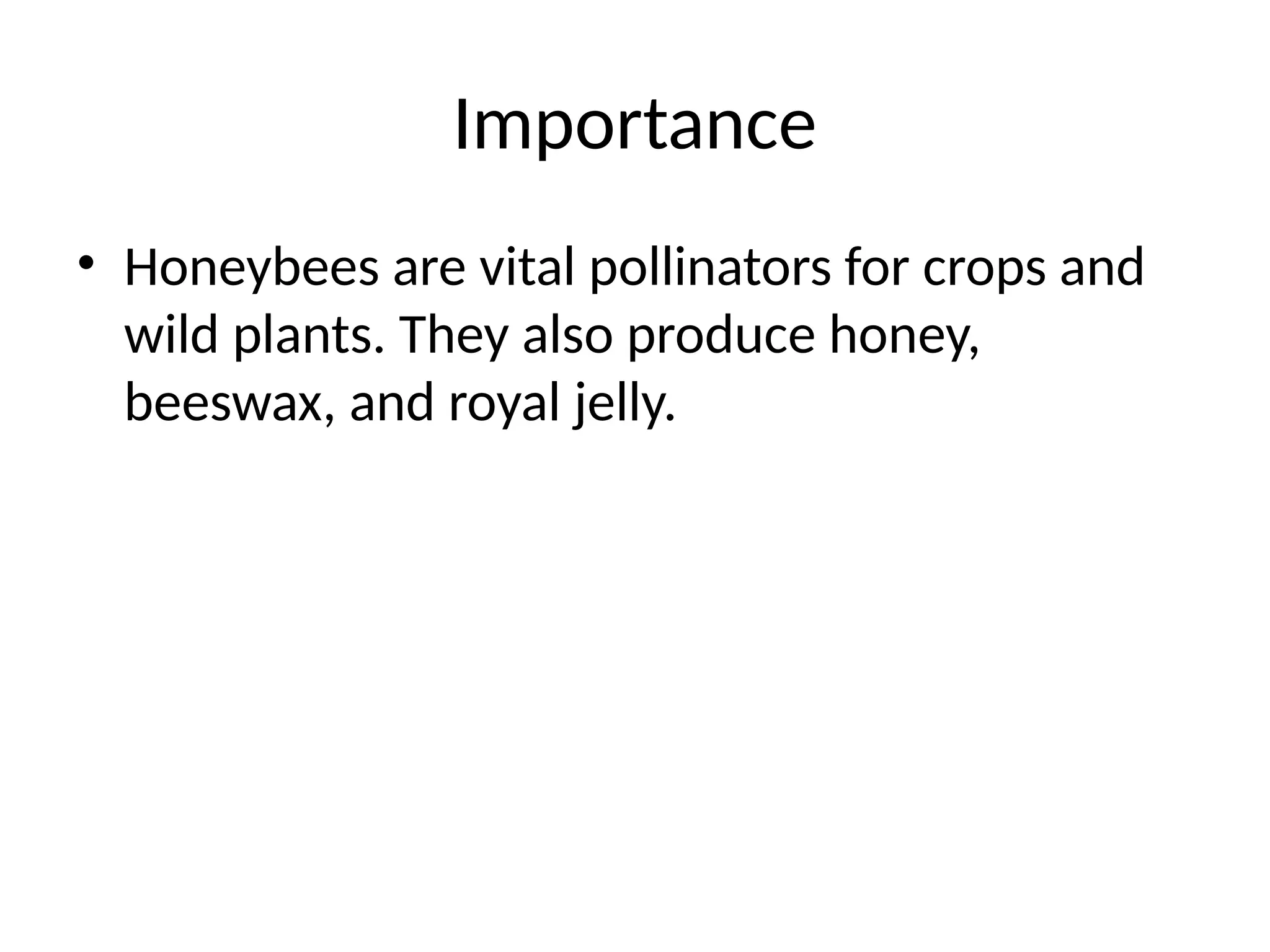 Honeybee life cycle Presentation for class 5 | PPTX