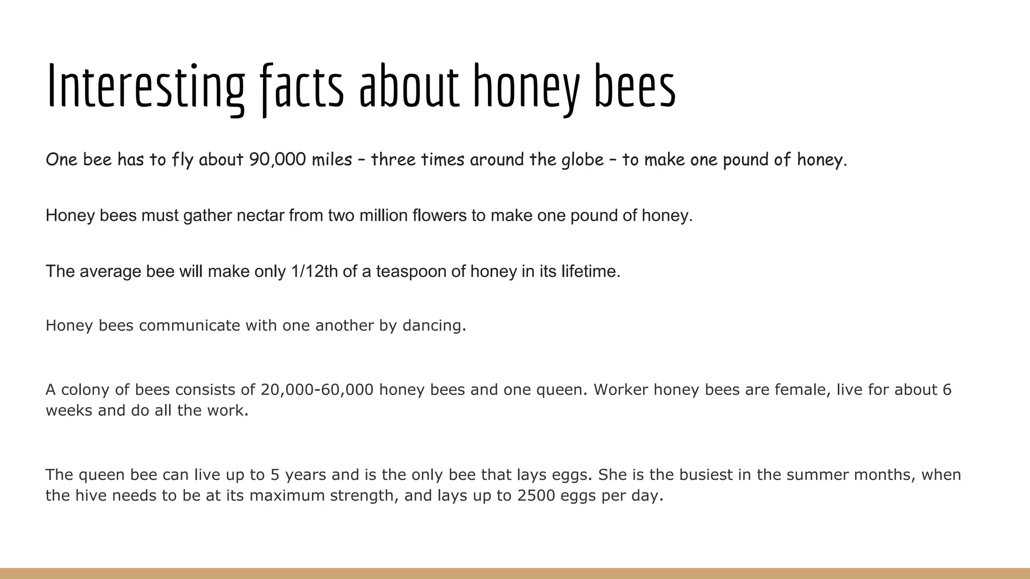 Honey bee project (georgia) | PPT