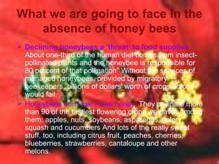 Honey Bees | PPT