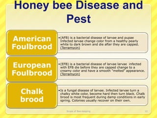 Honey bees and beekeeping project | PPTX