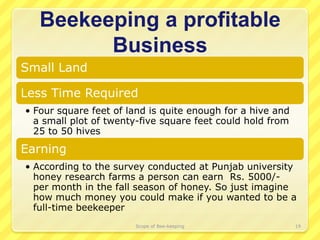 Honey bees and beekeeping project | PPTX