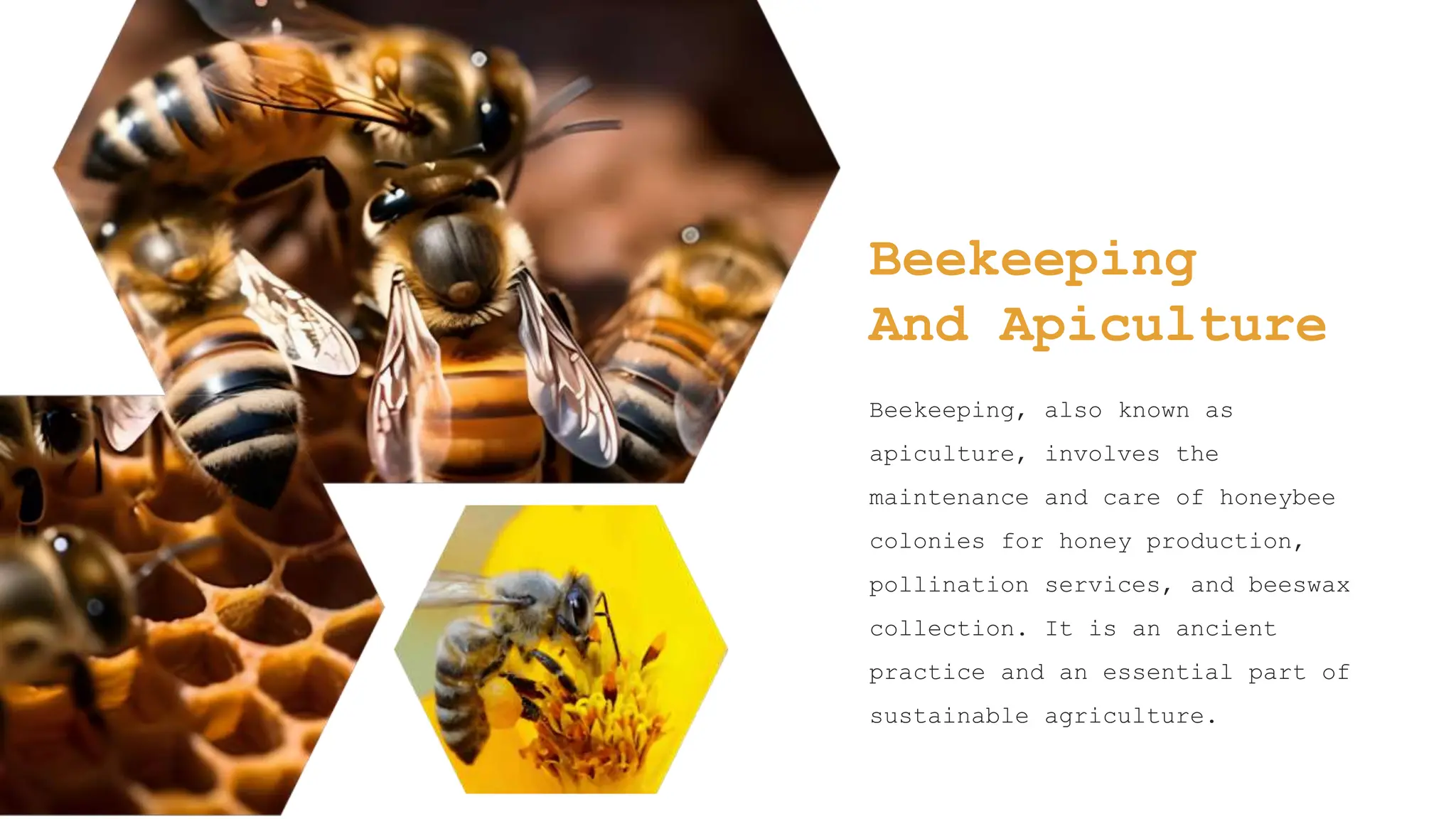 Honey Bees Behaviour and its honey collecting.pptx
