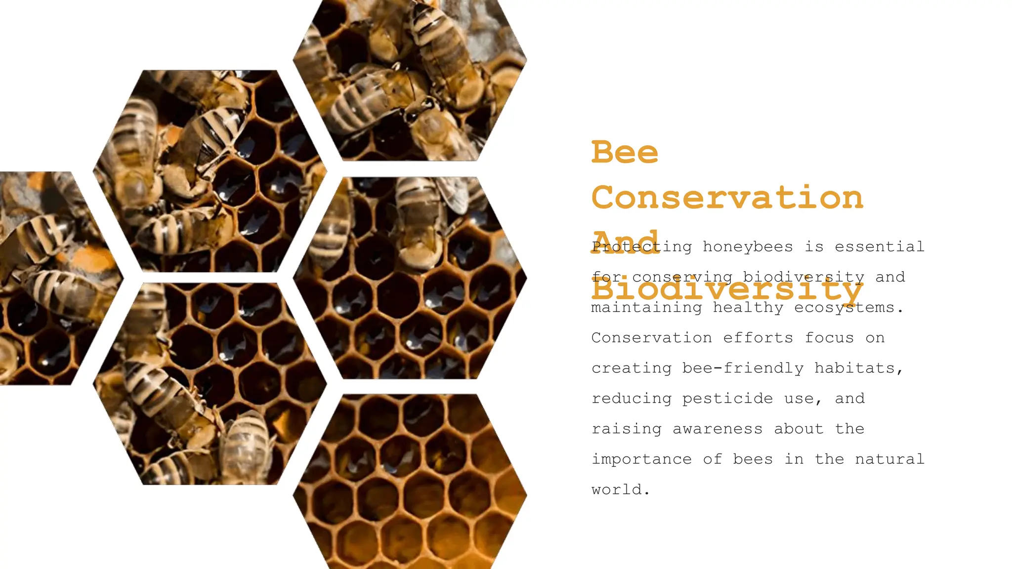 Honey Bees Behaviour and its honey collecting.pptx