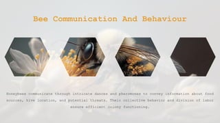 Honey Bees Behaviour and its honey collecting.pptx