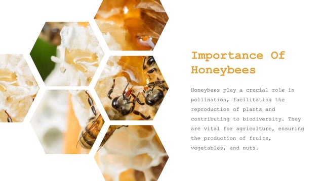 Honey Bees Behaviour and its honey collecting.pptx