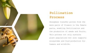Honey Bees Behaviour and its honey collecting.pptx
