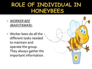 Group Branding.ppt