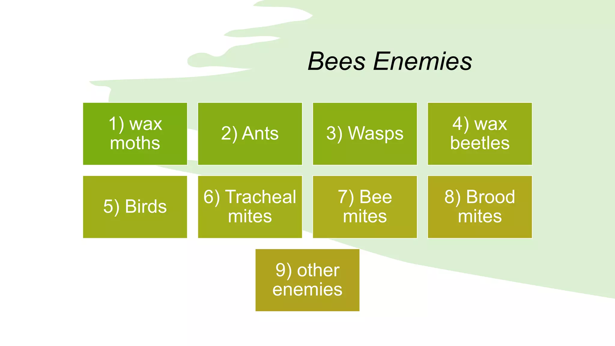 Honey bees enemies and its management | PPTX