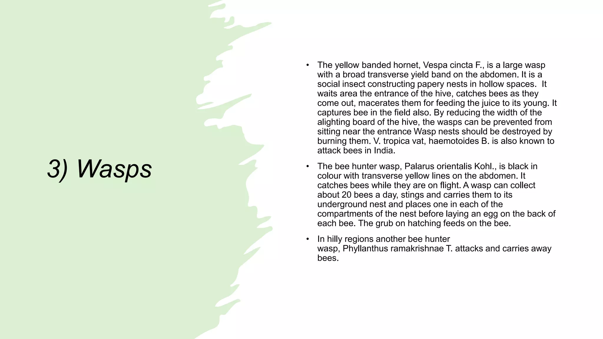 Honey bees enemies and its management | PPTX