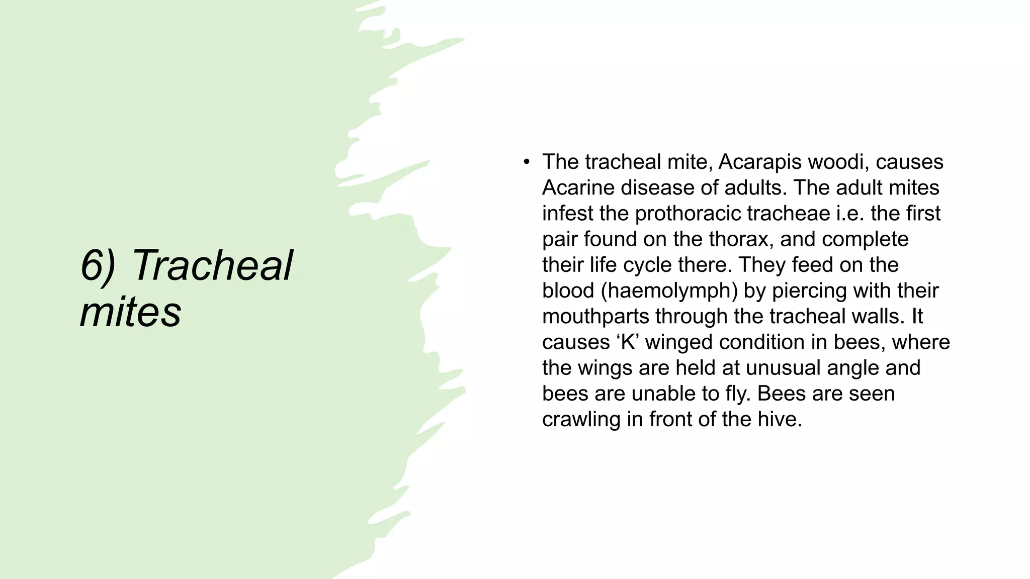 Honey bees enemies and its management | PPTX