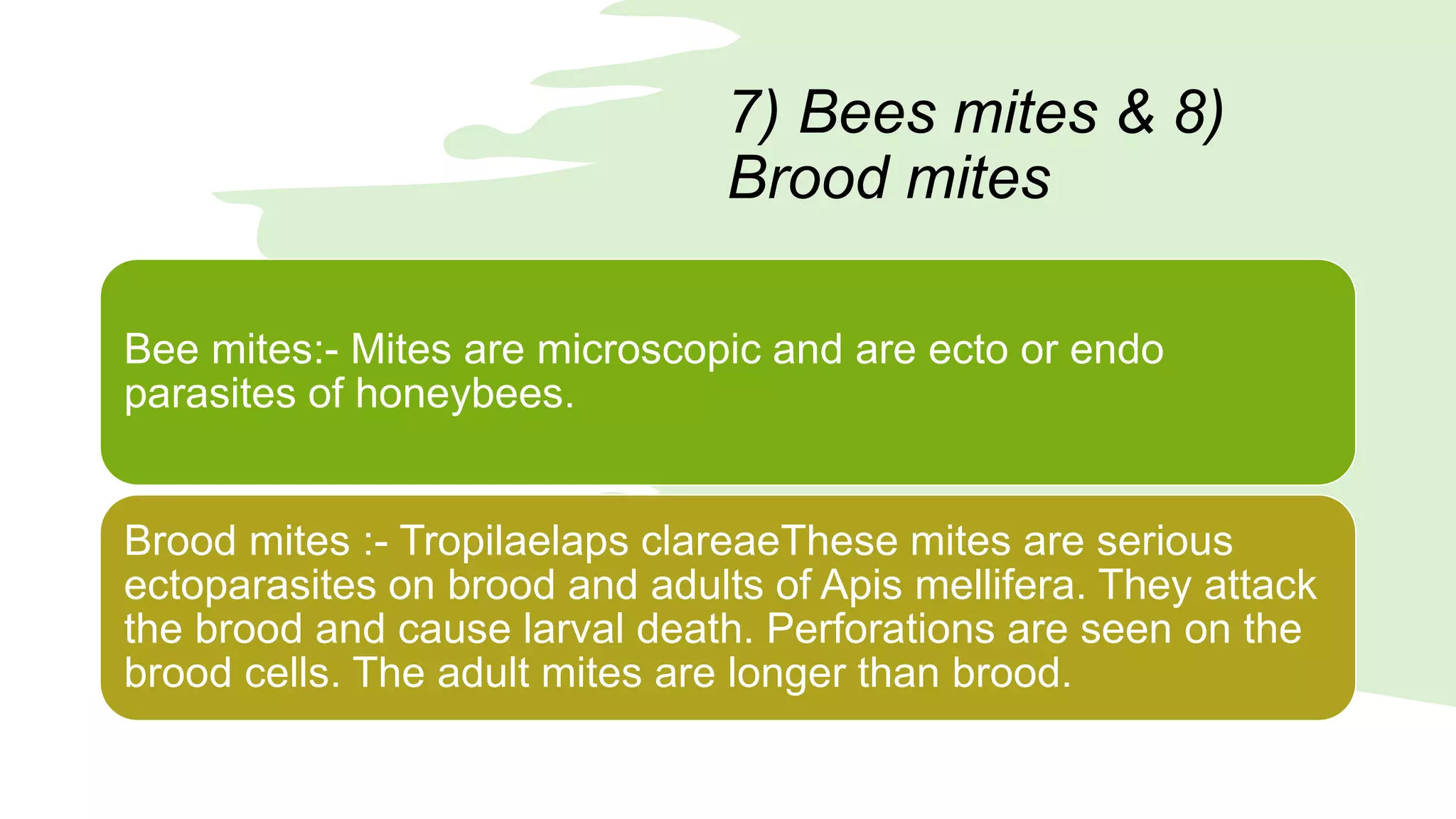 Honey bees enemies and its management | PPTX