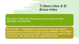 Honey bees enemies and its management | PPTX