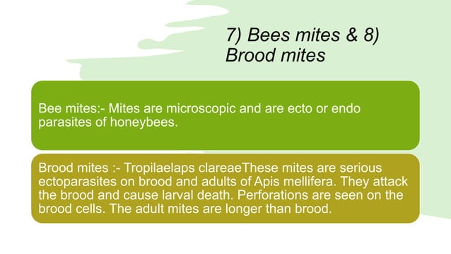 Honey bees enemies and its management | PPTX | Beekeeping | Hobbies ...