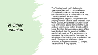 Honey bees enemies and its management | PPTX