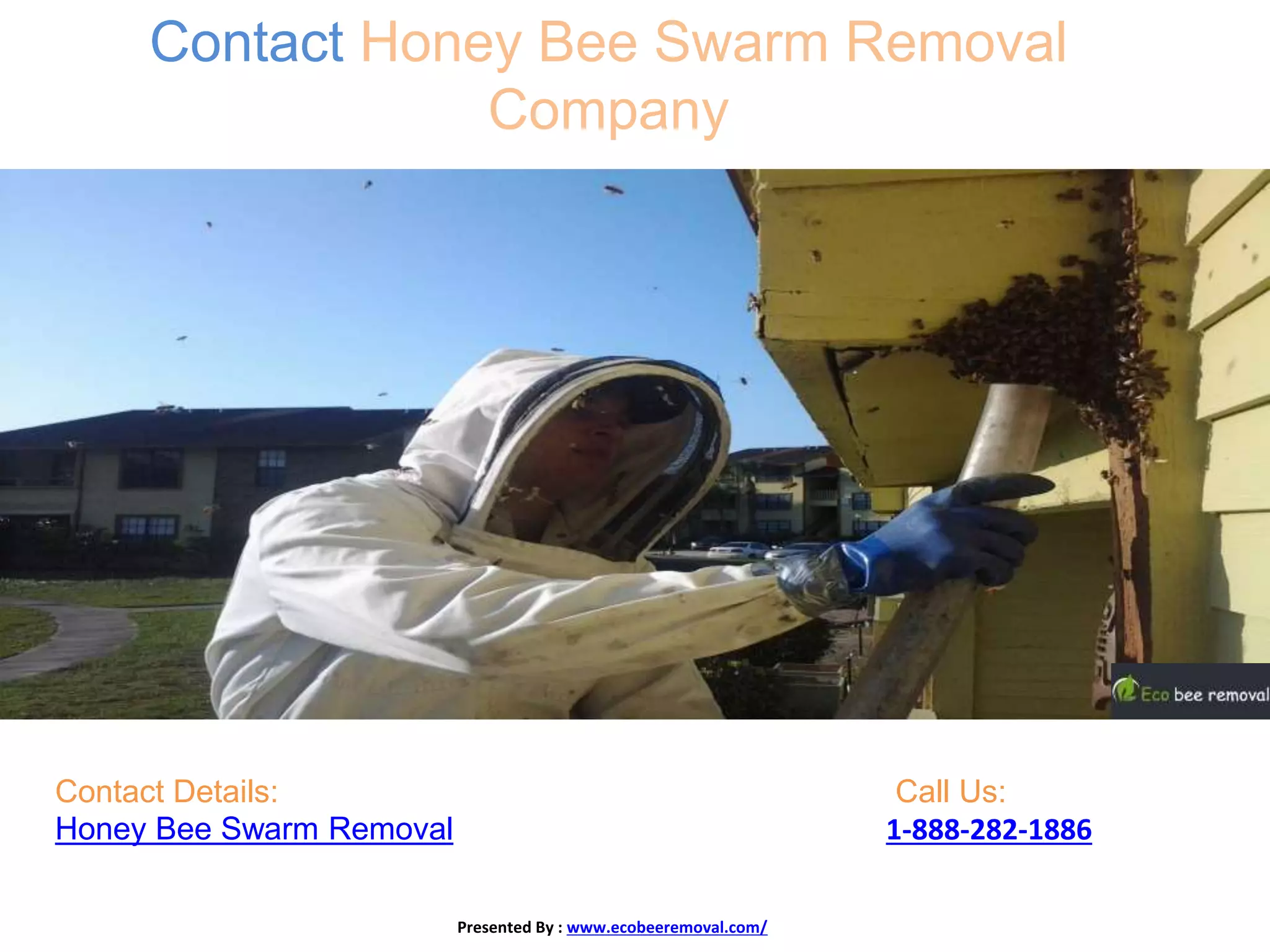 Honey bee swarm removal | PPT | Free Download