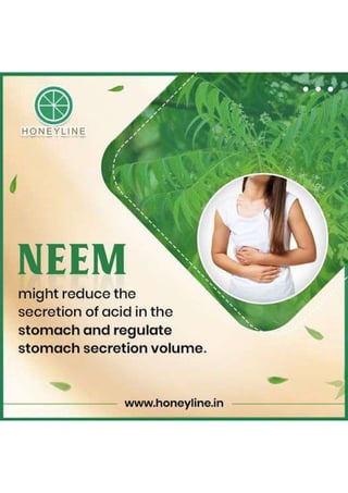 Usage of Neem capsules in Pregnancy | PDF