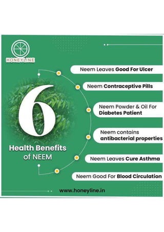 Usage of Neem capsules in Pregnancy | PDF