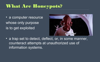 Honey net | PPT