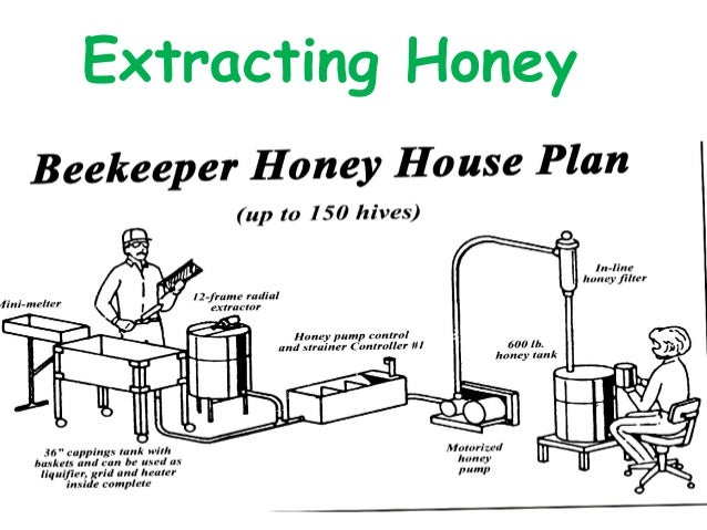 Honey proessing