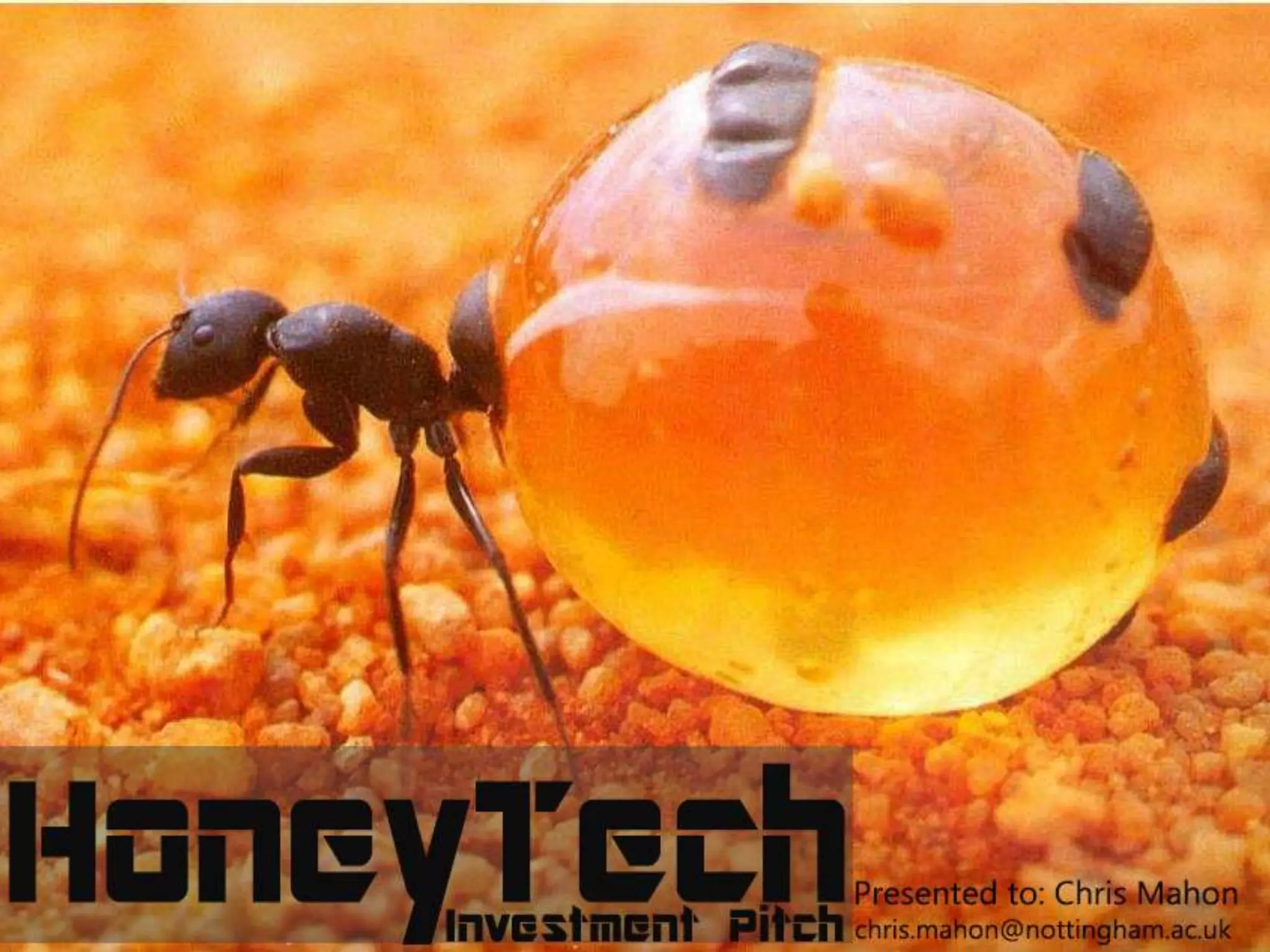 Honey Tech - Investment Pitch | PPTX