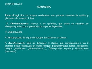 Hongos | PPT