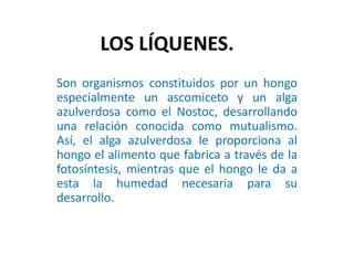 REINO FUNGI O DE LOS HONGOS | PPTX