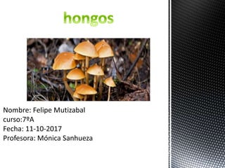 Hongos | PPT