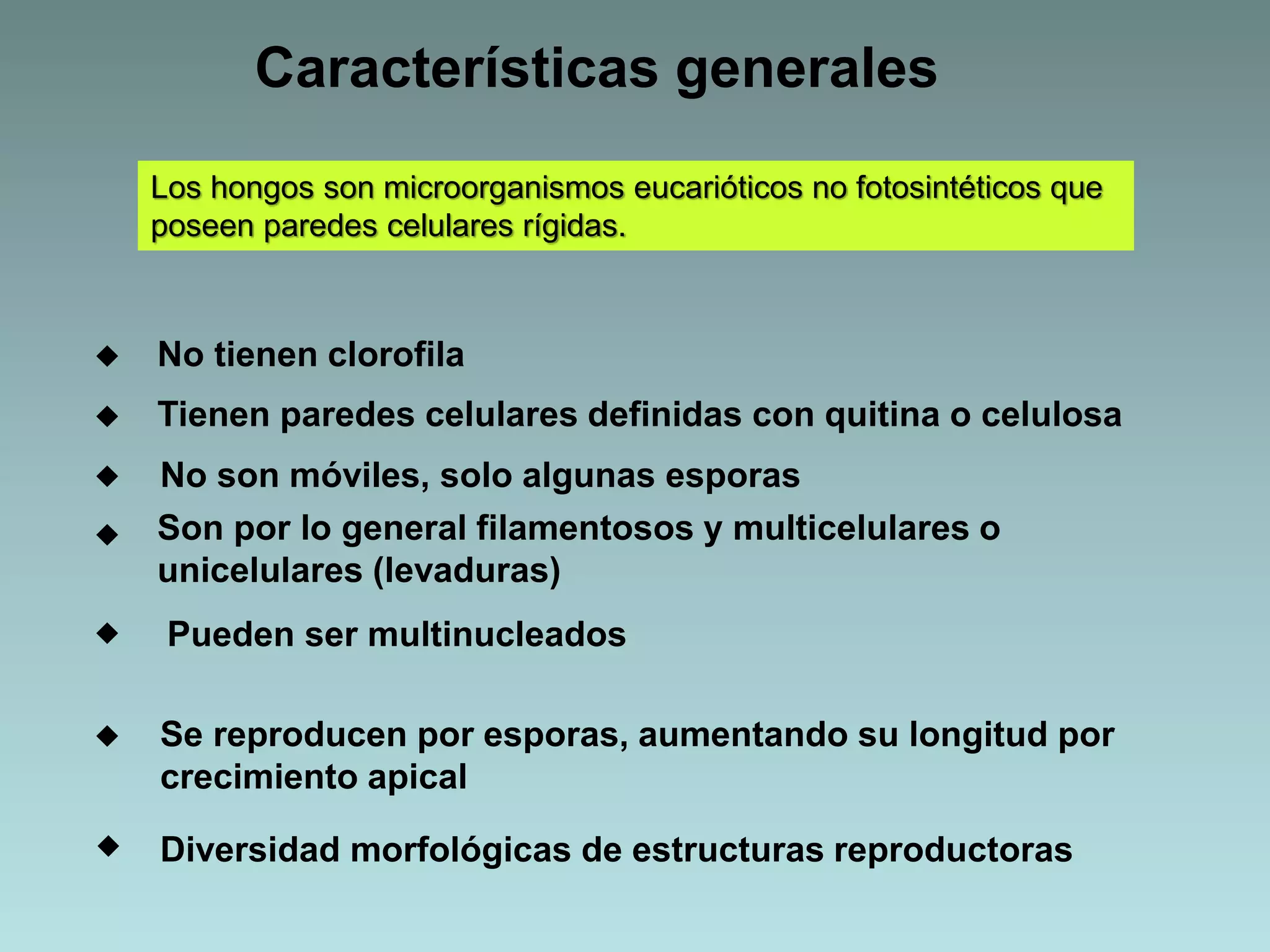 hongos - Estructura.ppt