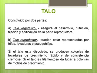 hongos caracteristicas utcd.pptx