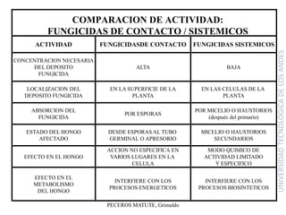 Hongos de importancia agricola | PDF